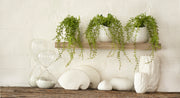 nap Living + Decor | Shop Our Collections Online – NAP Living